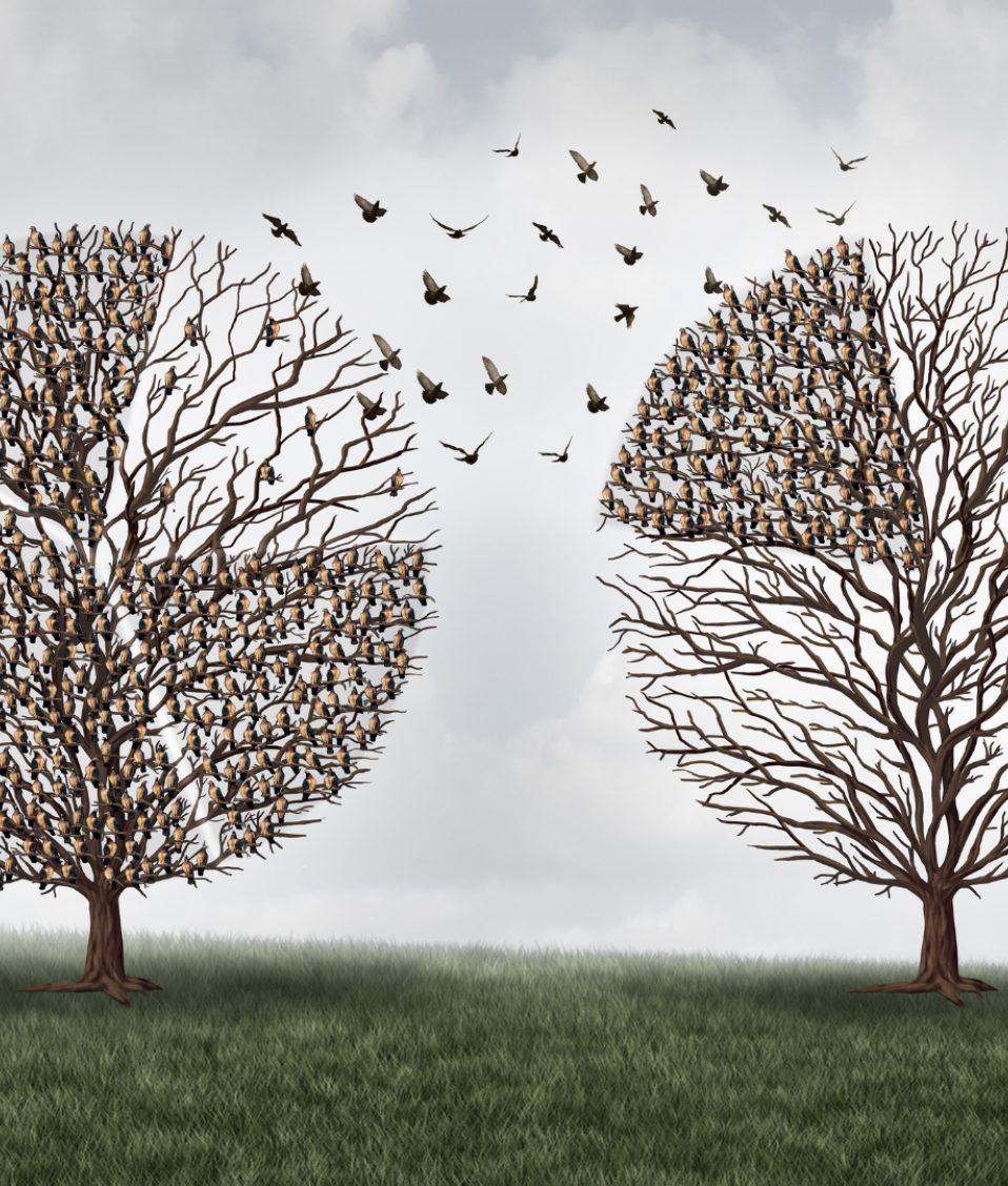 La OTRI-UGR organiza el Taller “Humaniza la transferencia” | Oficina de ... La OTRI-UGR organiza el Taller “Humaniza la transferencia” | Oficina de ...